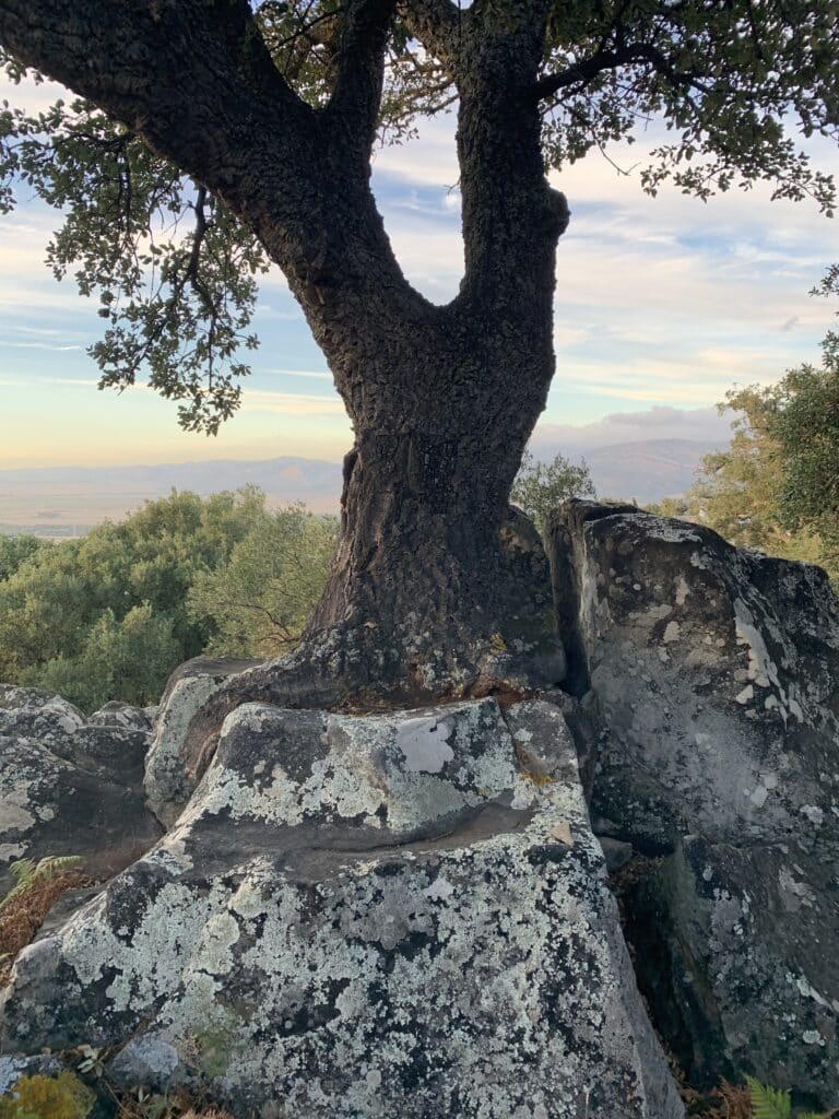 12 Day Village Encampment With Vision Quest Ceremony | Wilderness ...